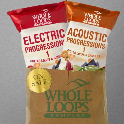 Guitars Bundle – Whole Loops