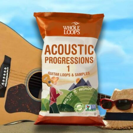 Acoustic Progressions 1 – Whole Loops
